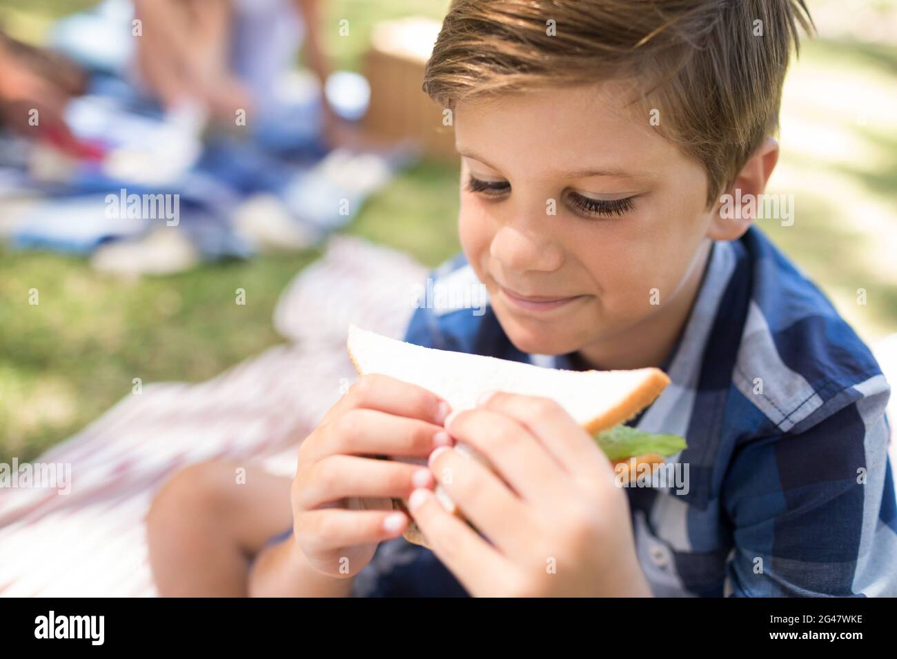 Boy having sandwich in picnic at park Stock Photo - Alamy