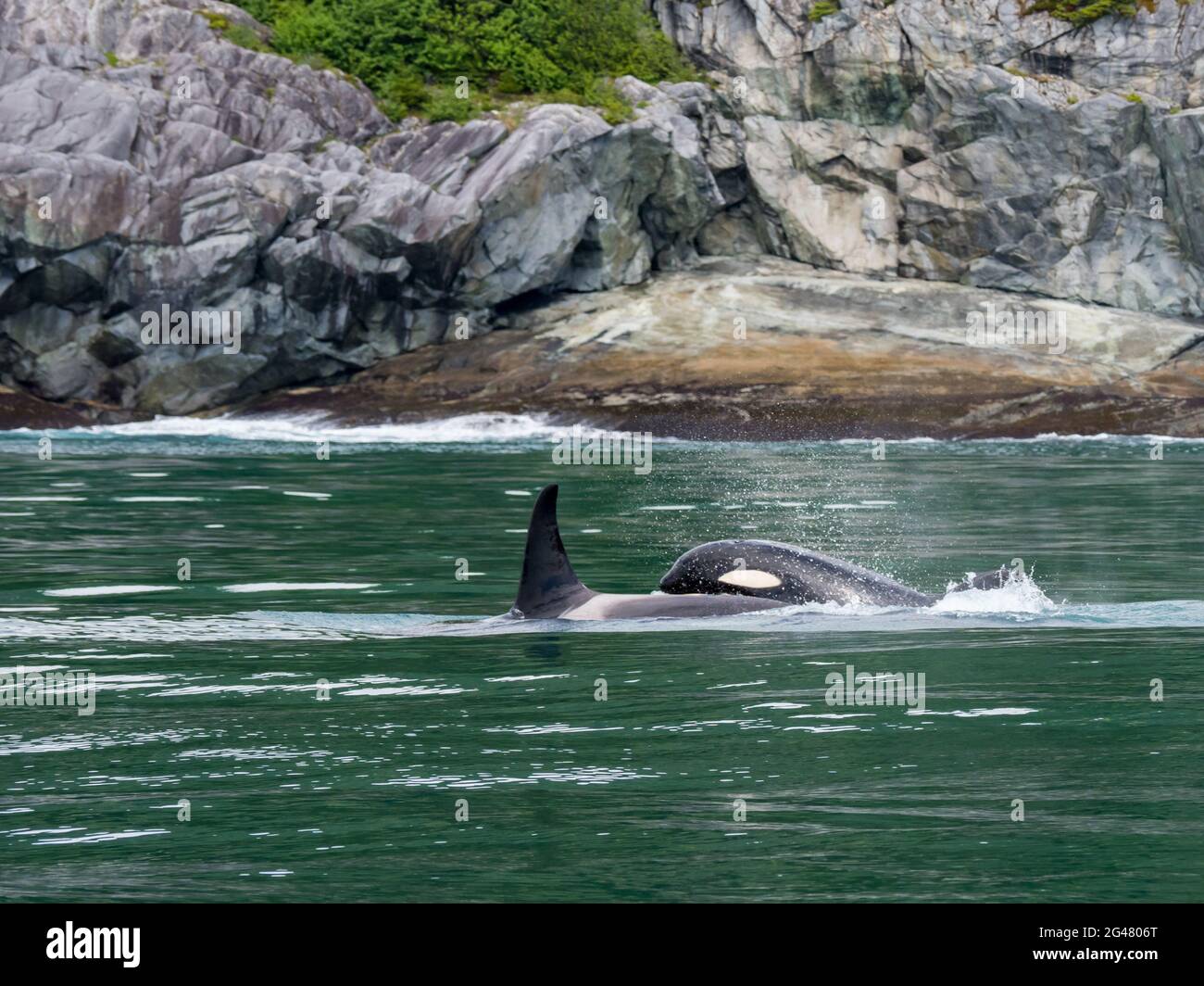 Alaska tourism hi-res stock photography and images - Alamy