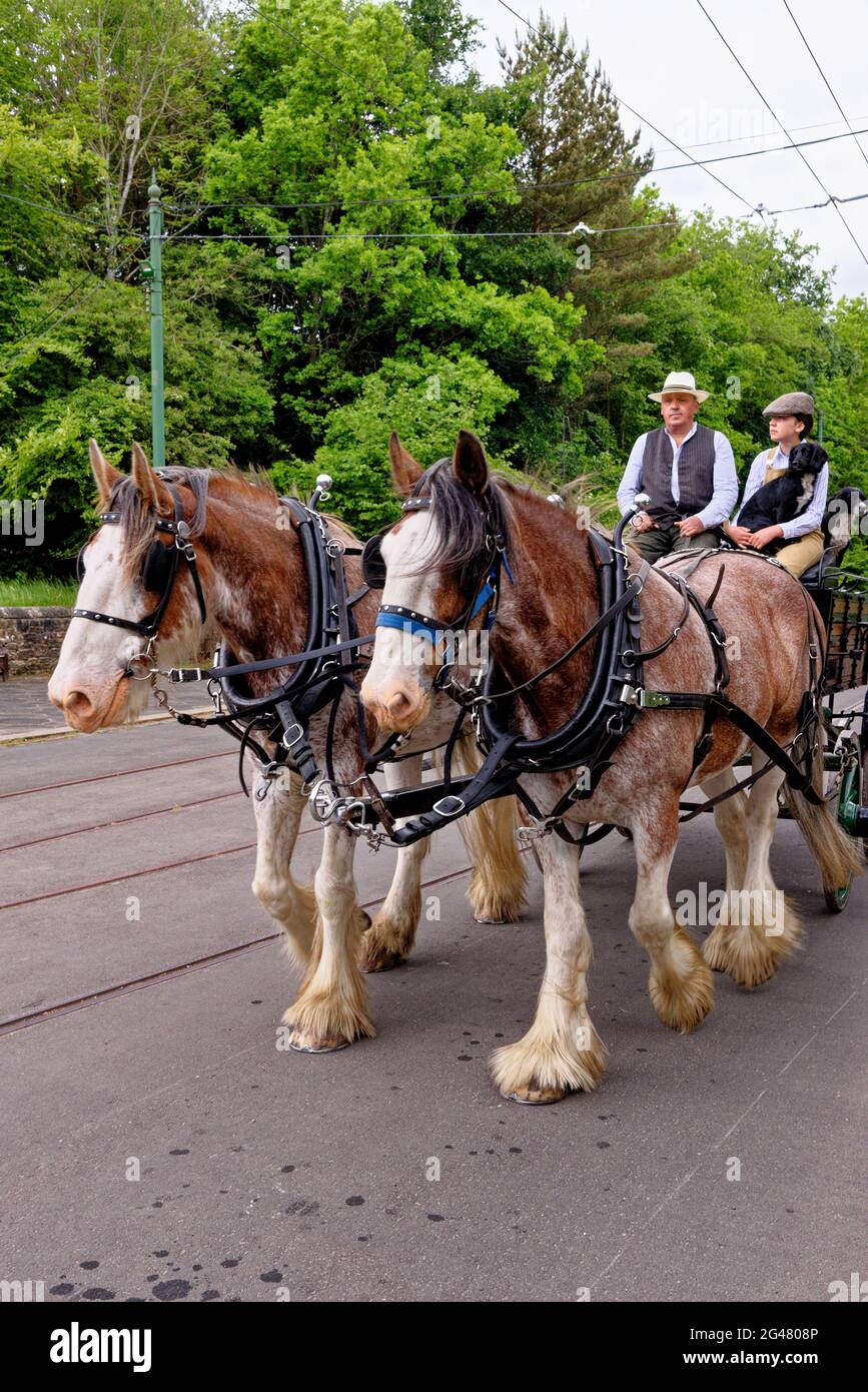 Horse and cart rides for visitors - Beamish Village, Durham County ...