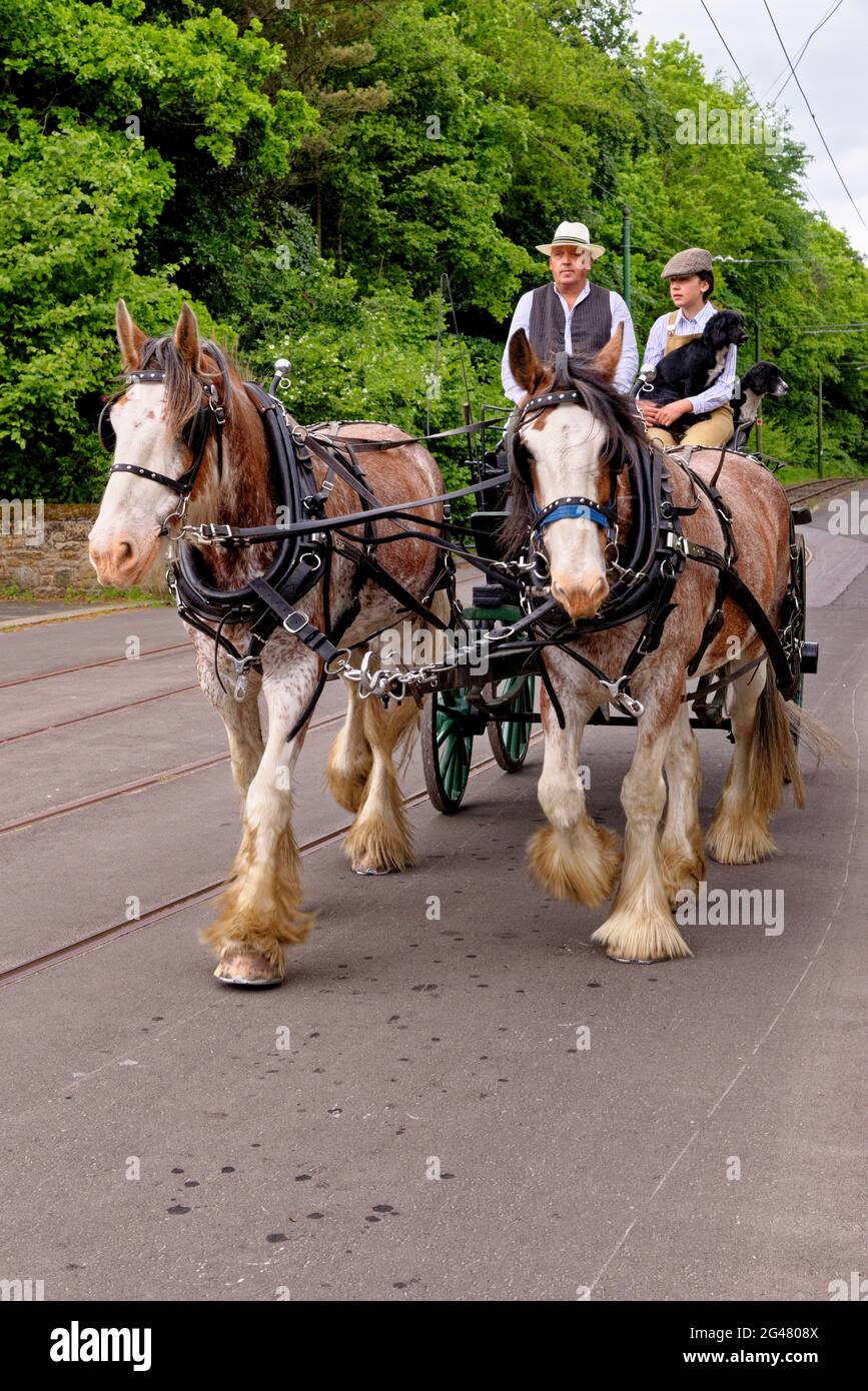 Horse and cart rides for visitors - Beamish Village, Durham County ...