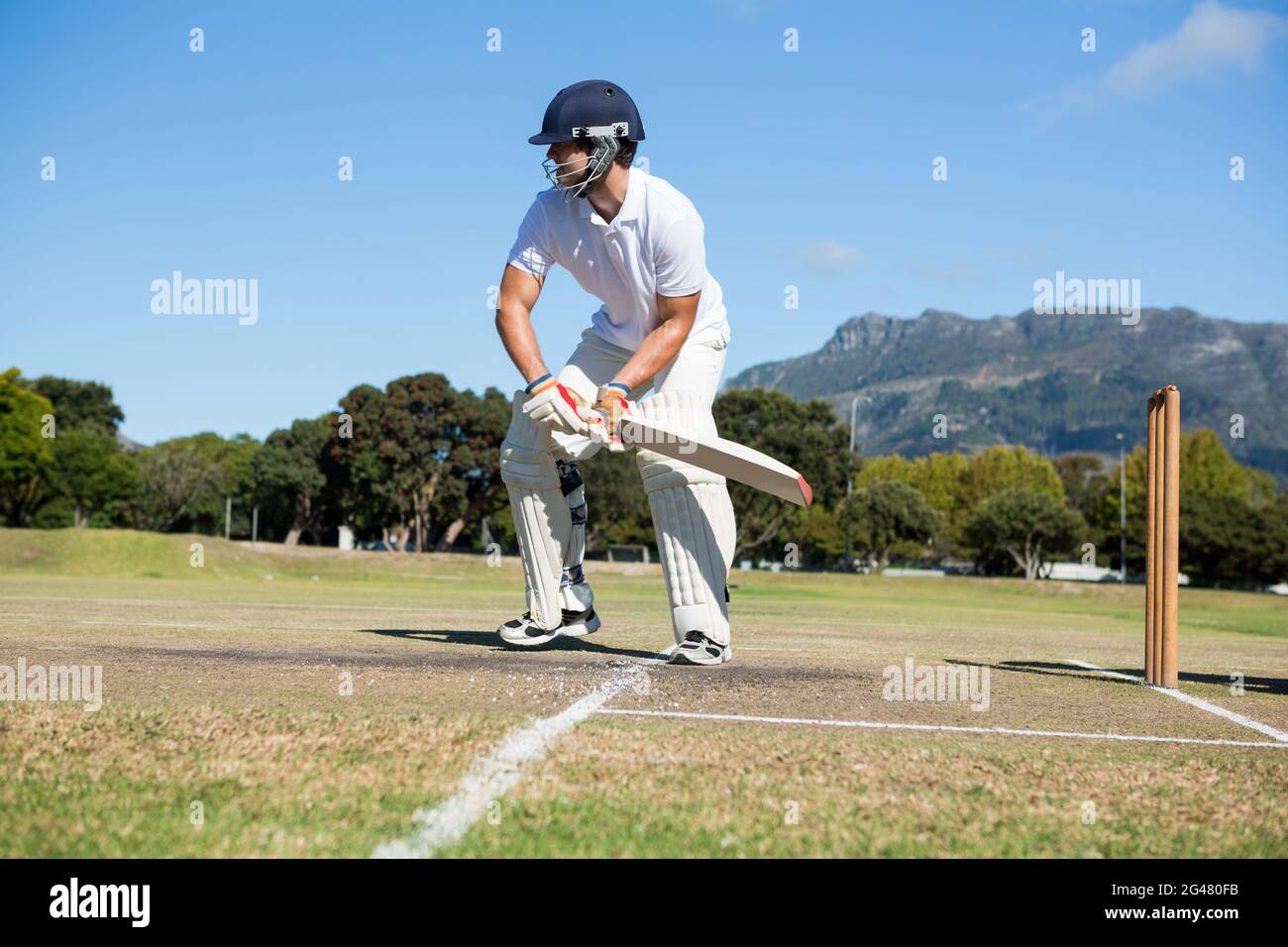 Professional sportsperson sports venue competition skill hi-res stock ...