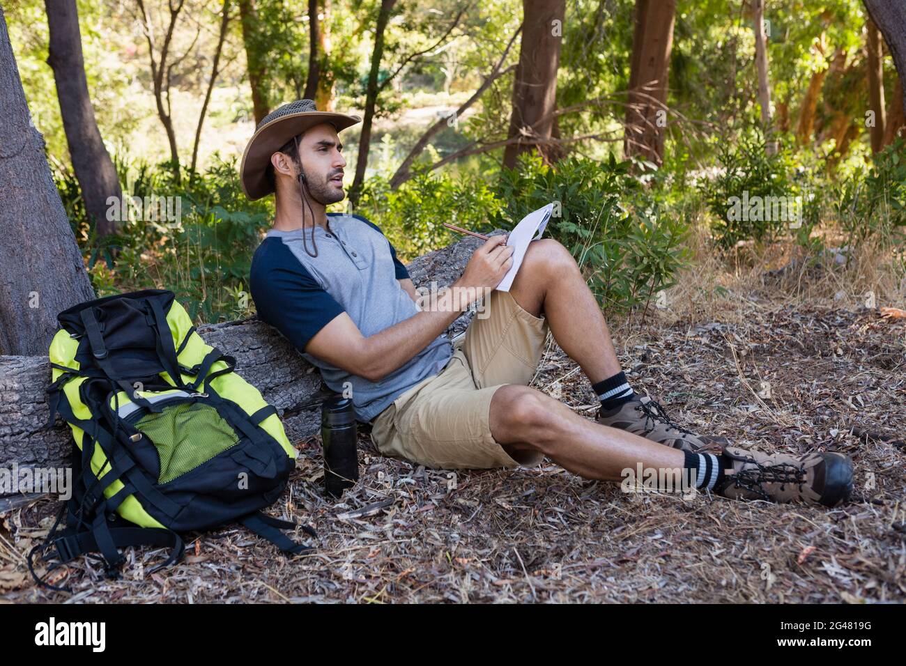 Indian writing on tree hi-res stock photography and images - Alamy