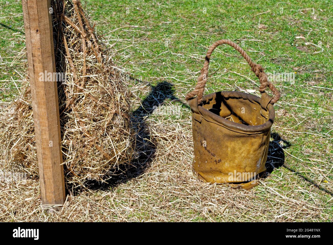 Animal feed buckets hi-res stock photography and images - Alamy