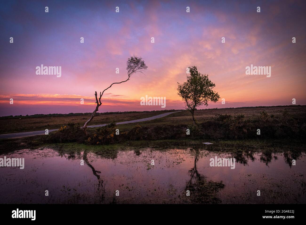 Holbury hi-res stock photography and images - Alamy
