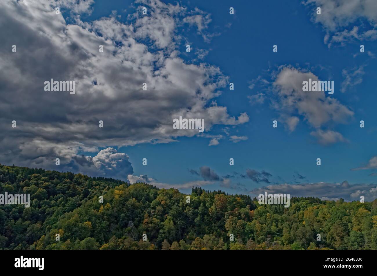 Slavkov forest hi-res stock photography and images - Alamy
