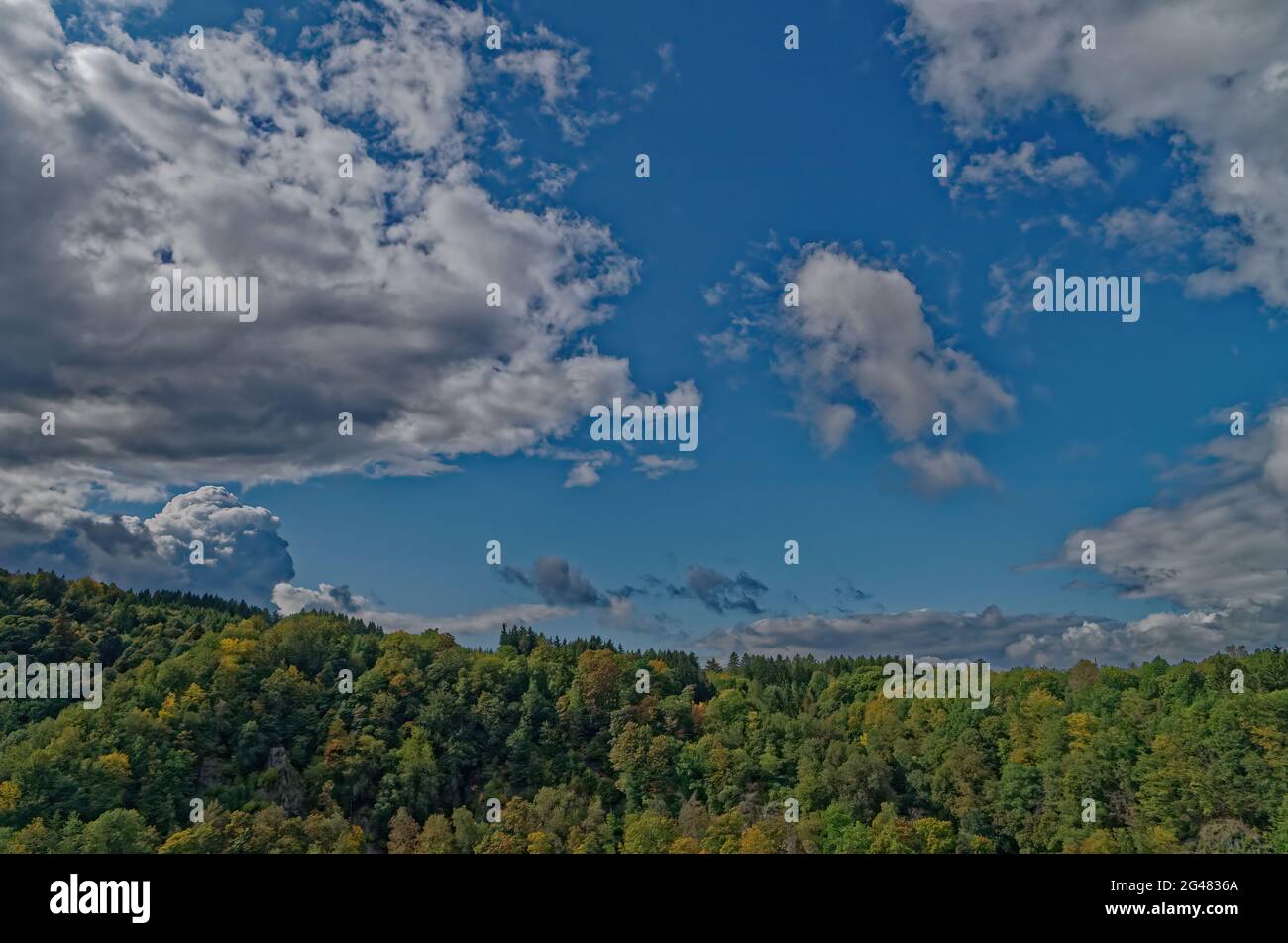 Slavkov forest in the Czech Republic Stock Photo - Alamy
