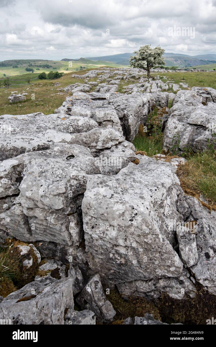 Yorkshire Dales limestone scenery Stock Photo - Alamy