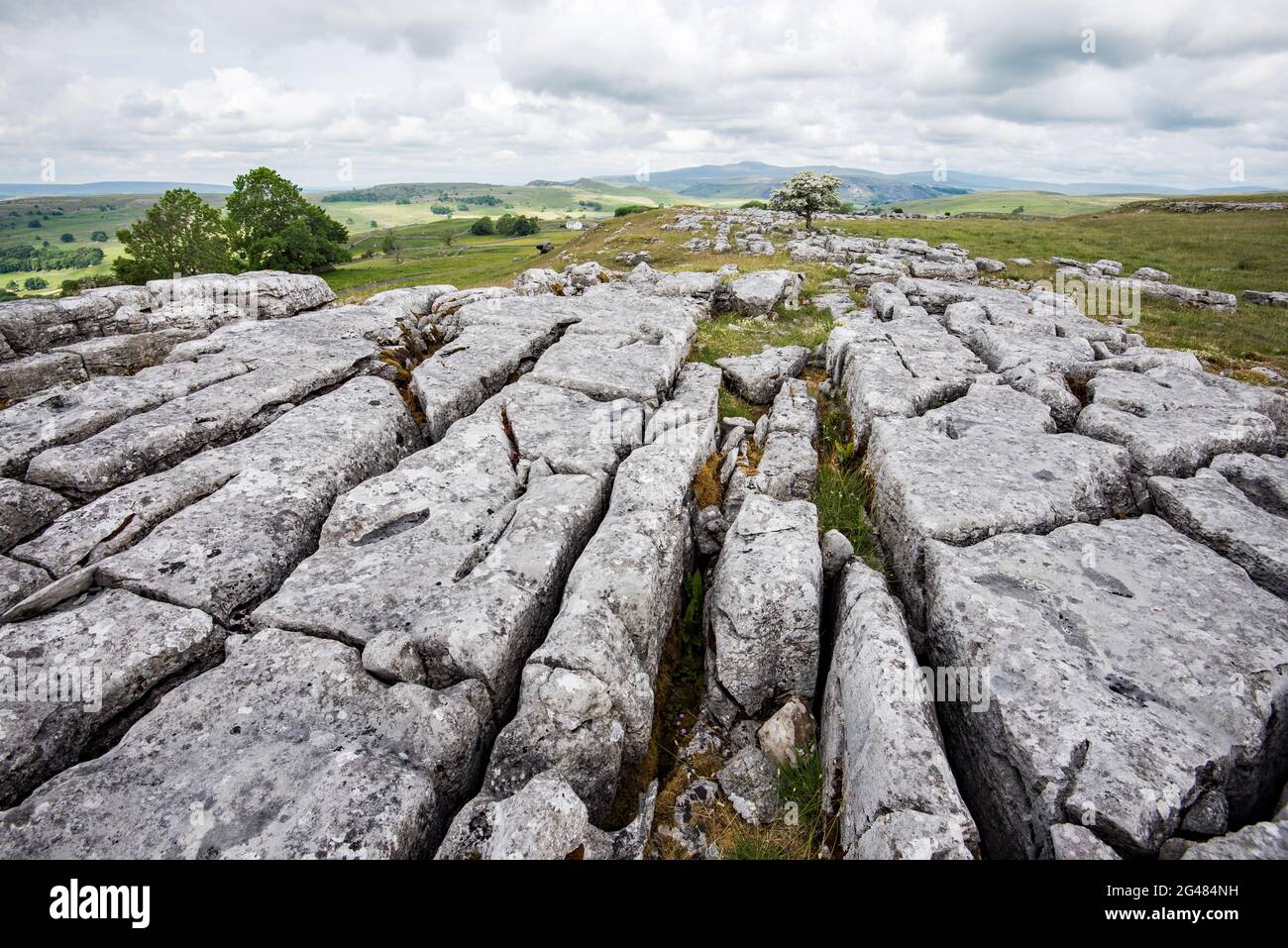 Yorkshire Dales limestone scenery Stock Photo - Alamy