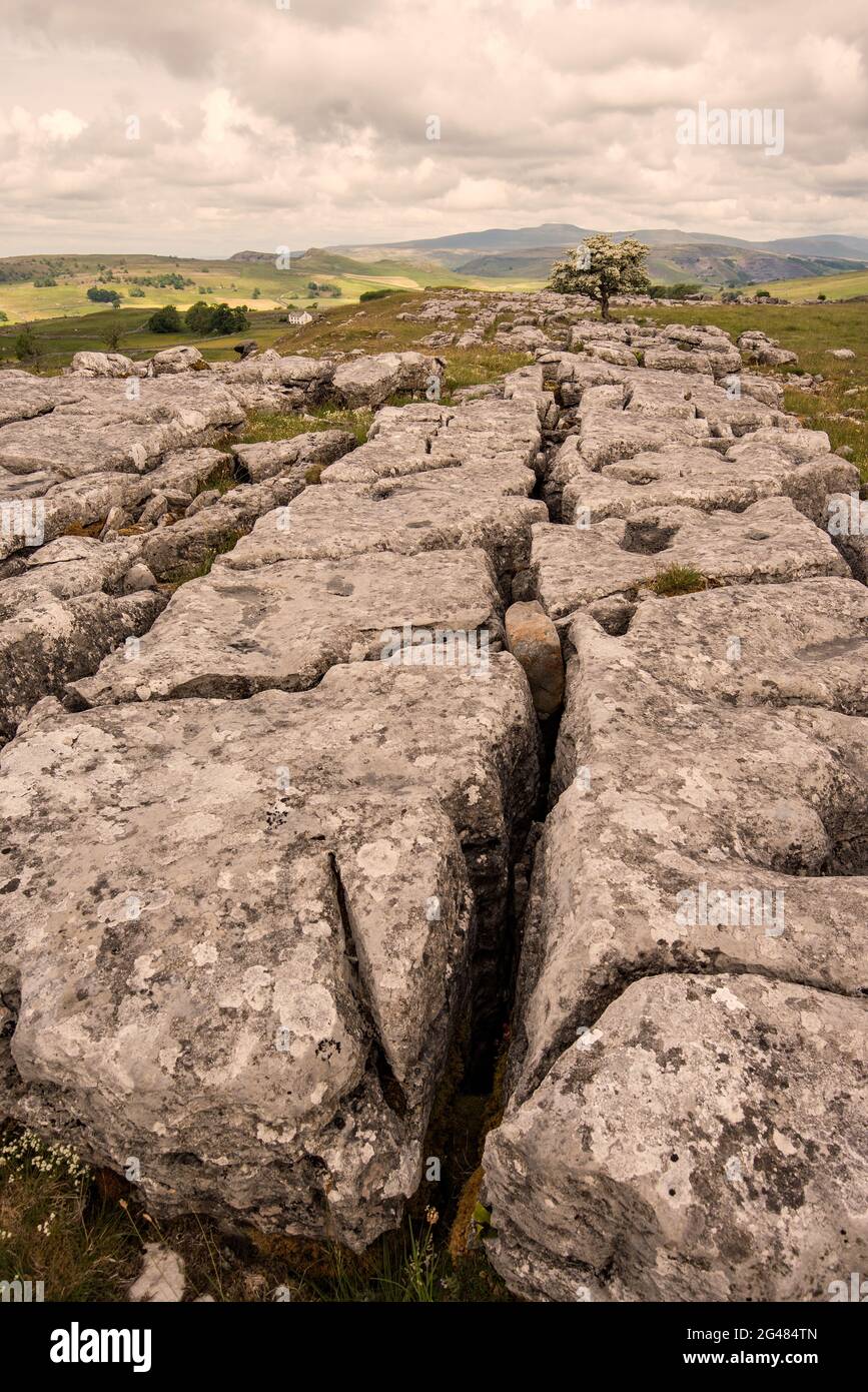 Yorkshire Dales limestone scenery Stock Photo - Alamy