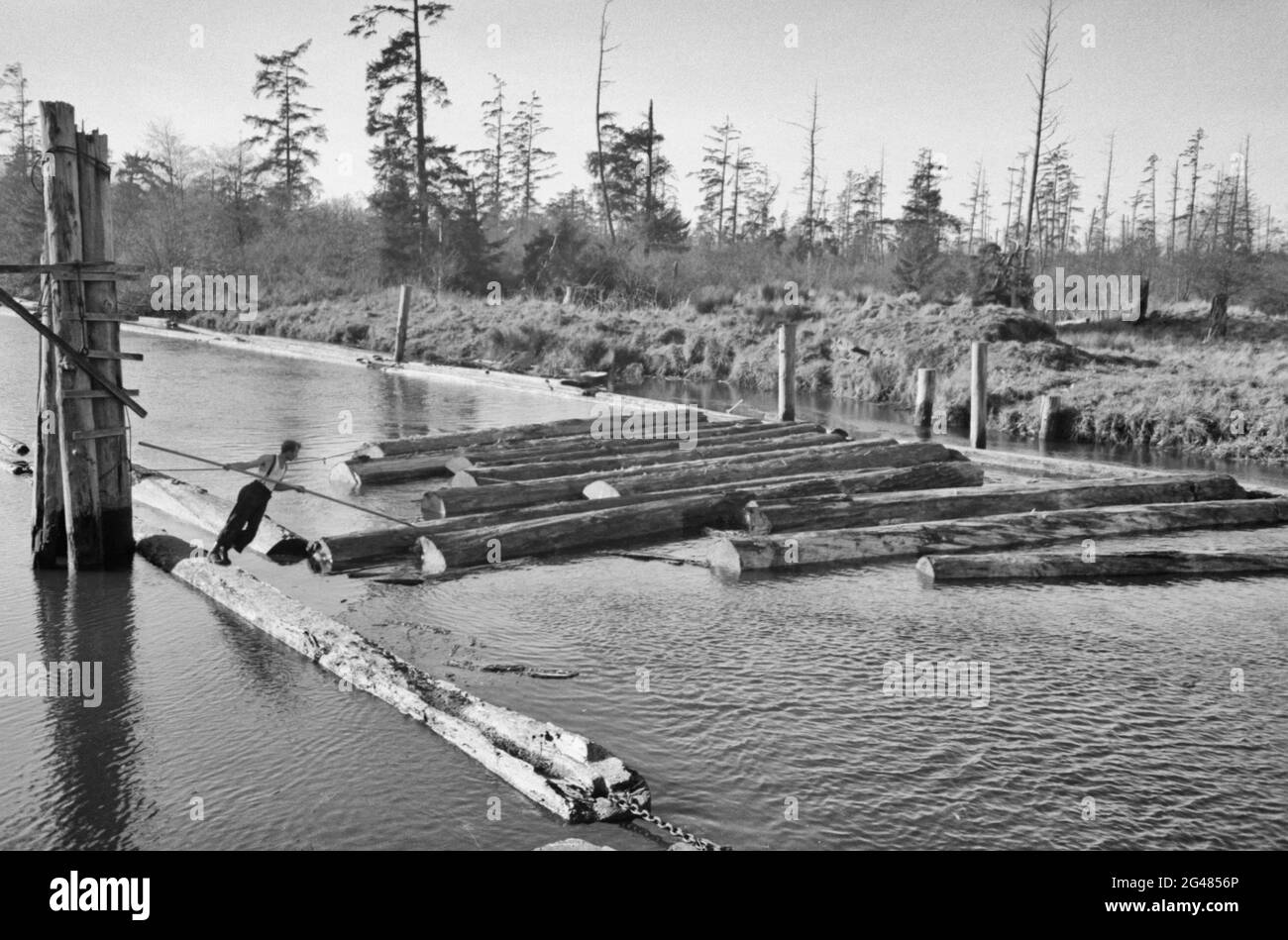 Logging in oregon Black and White Stock Photos & Images - Alamy