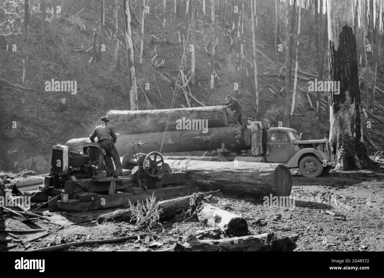 Loading logs onto truck with cables from donkey engine, Tillamook ...