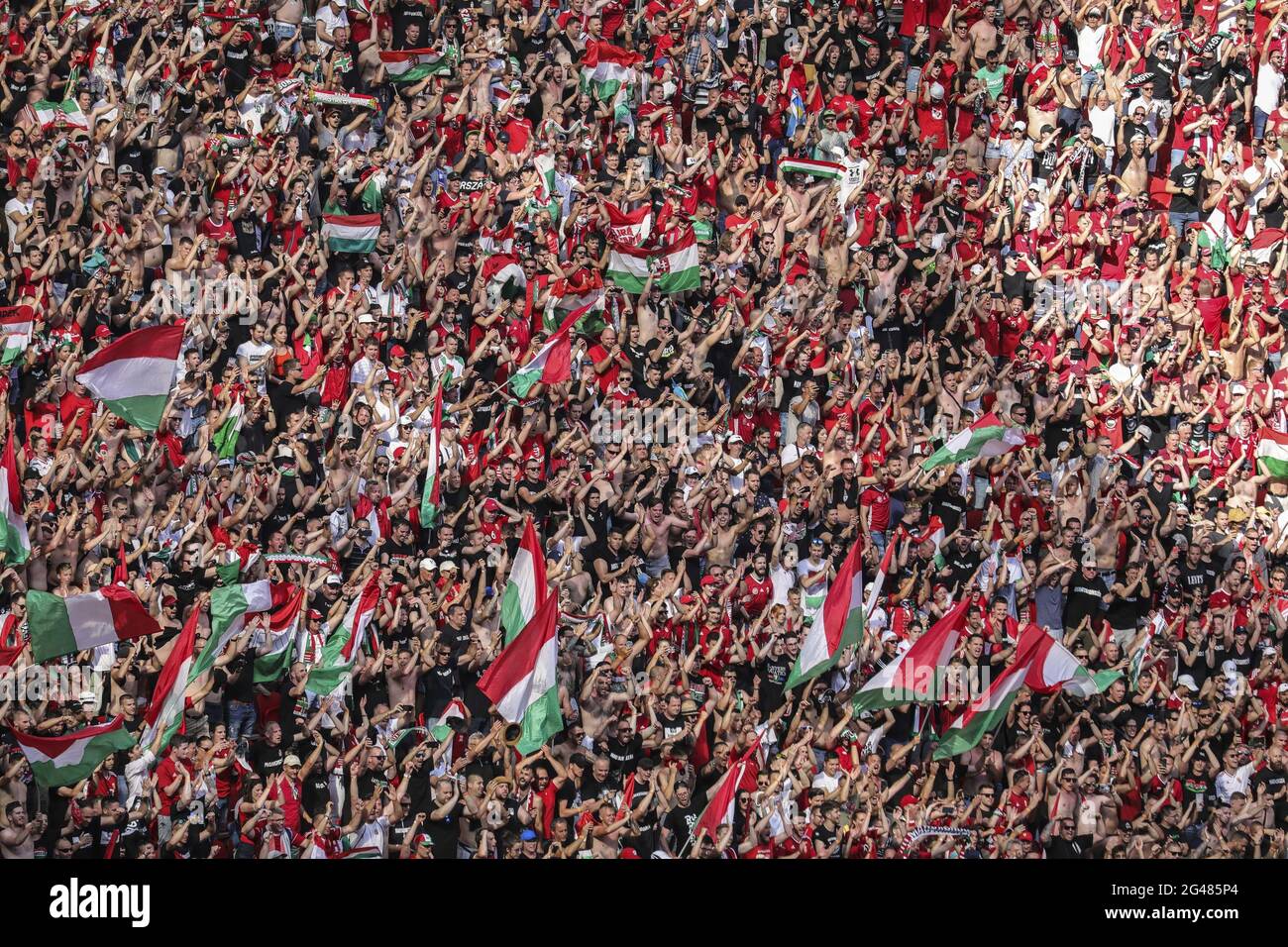 Hungarian football fans hi-res stock photography and images - Alamy