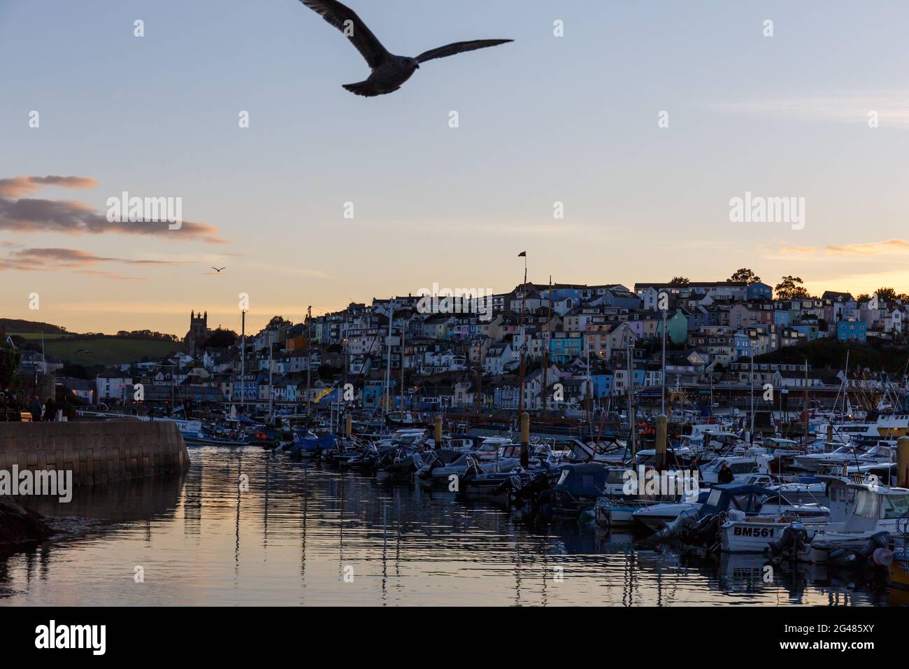 The picturesque fishing town of Brixham at dusk, harbour and houses ...