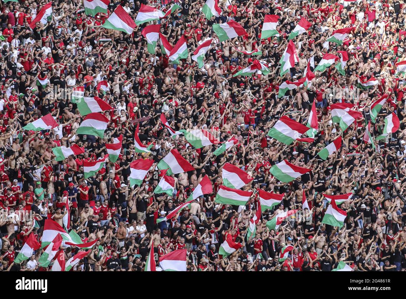Hungarian football fans hi-res stock photography and images - Alamy