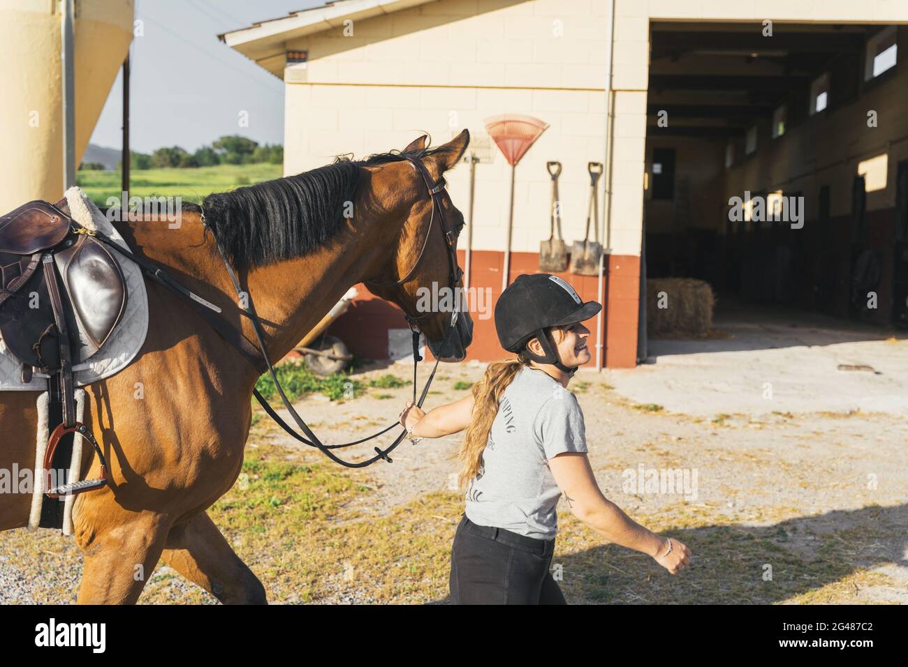 Equestrian sporty female walking a horse in a ranch Stock Photo - Alamy
