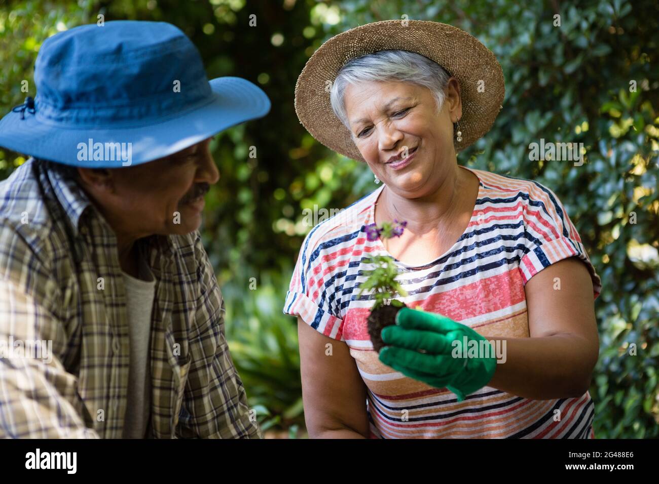 Couple interacting other in garden hi-res stock photography and images ...