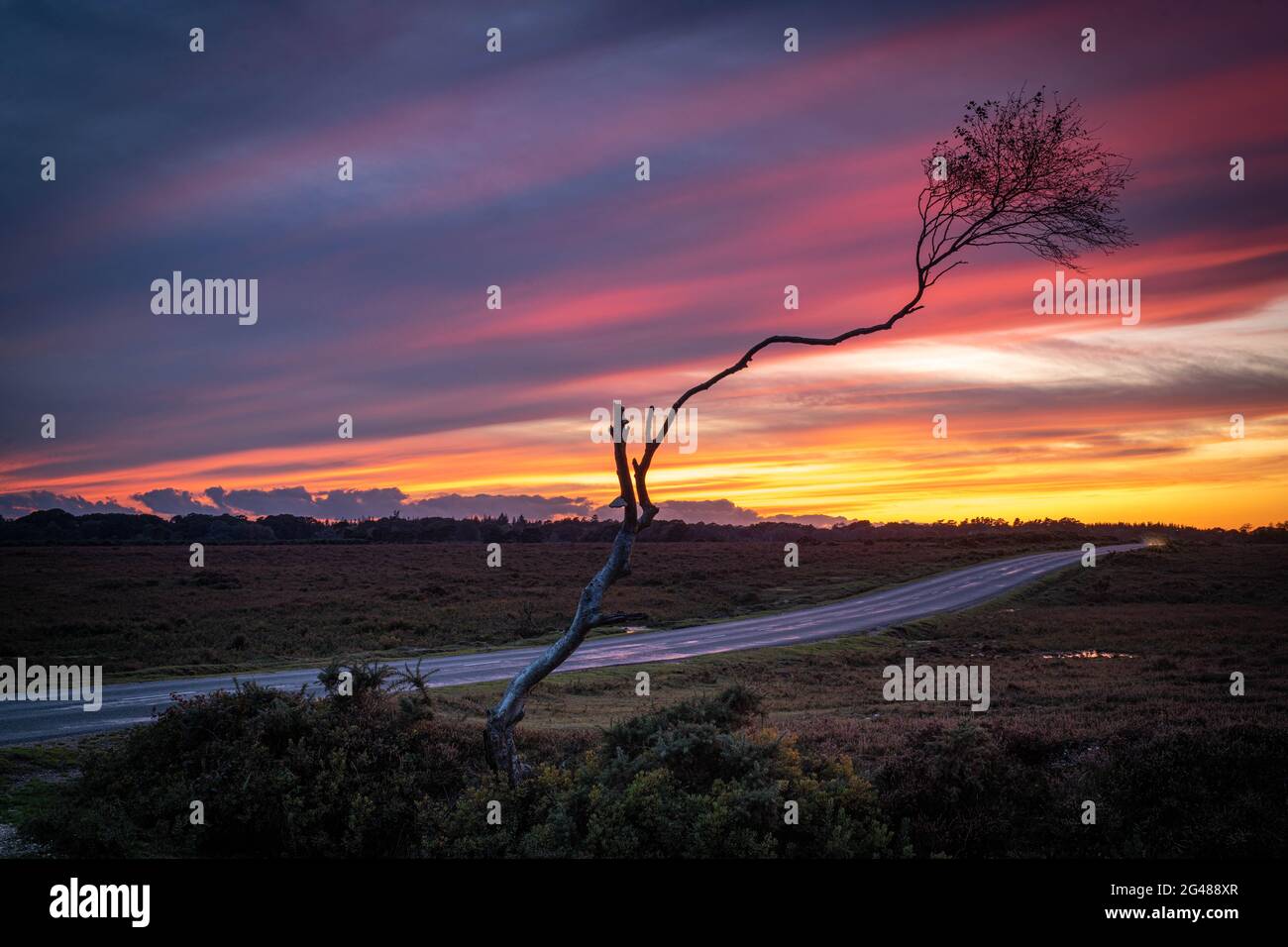 Holbury hi-res stock photography and images - Alamy