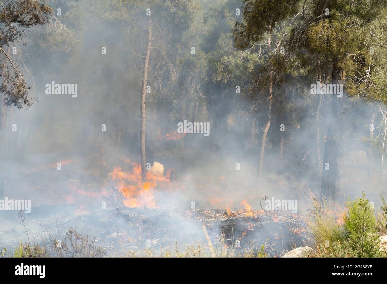 Hot weather israel hi-res stock photography and images - Alamy
