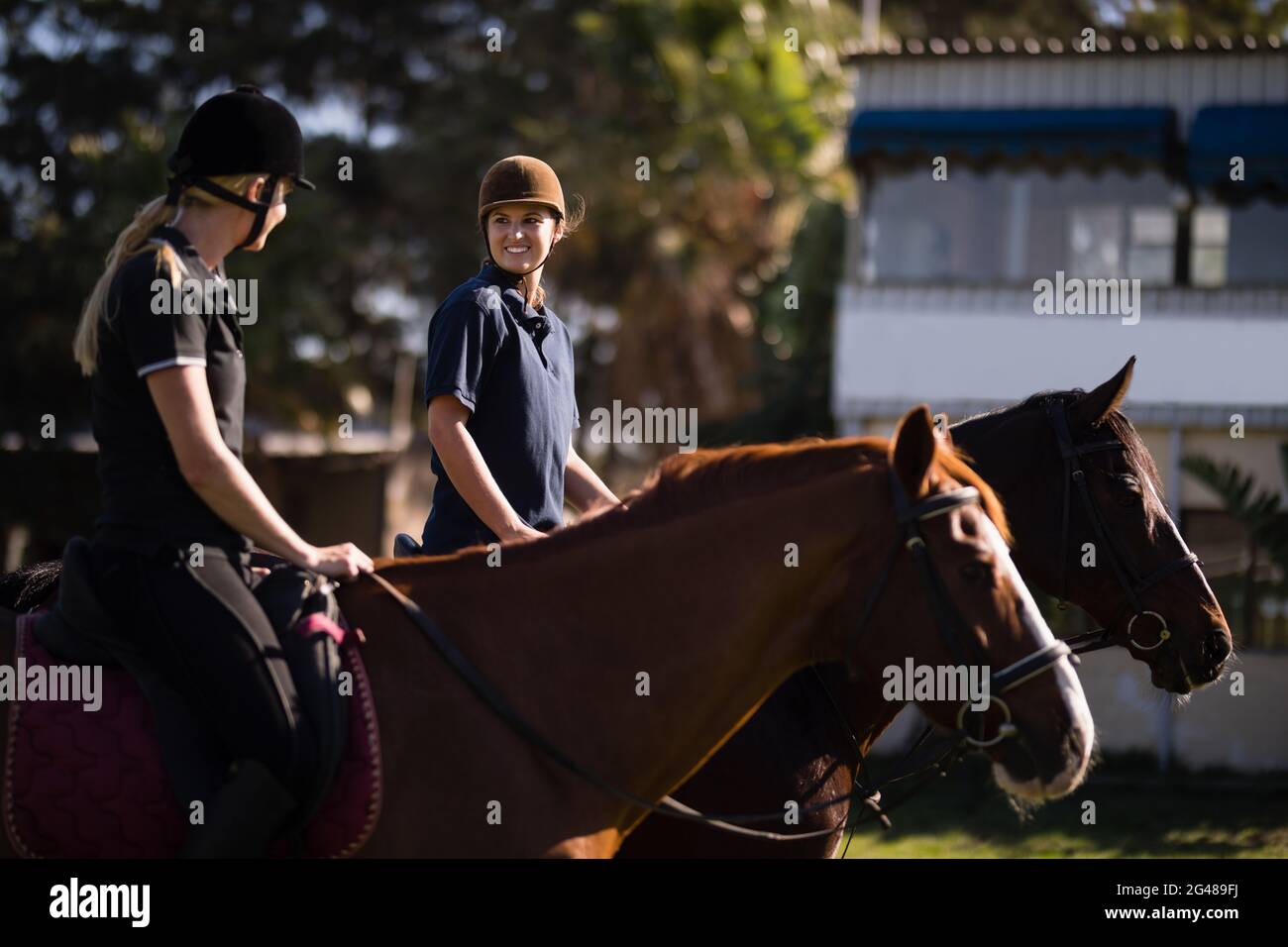 Friends talking while sitting on horse at barn Stock Photo - Alamy
