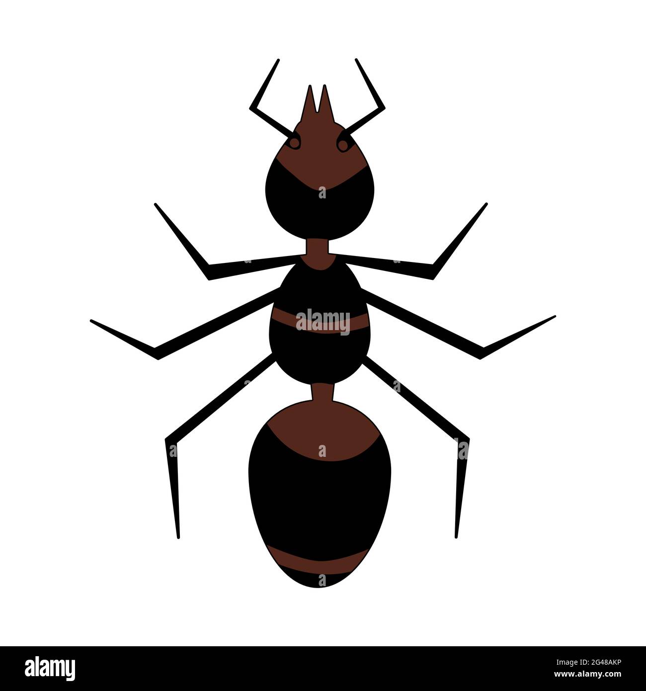 Ant isolated on white background. Ant icon. Insect silhouette. Simple ...