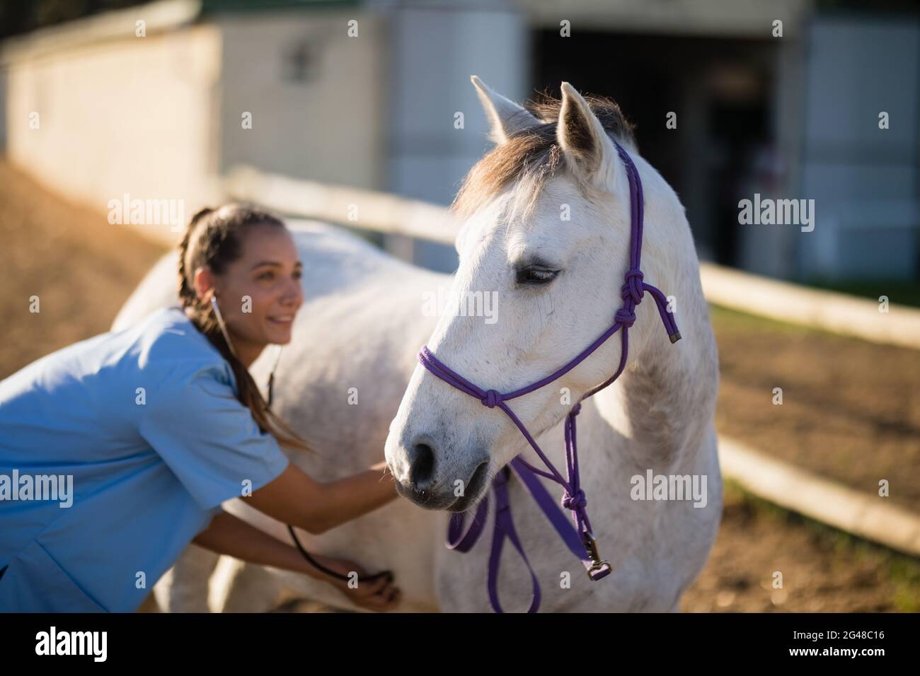 Smiling female vet checking hi-res stock photography and images - Alamy