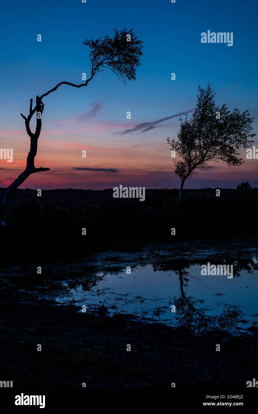 Holbury hi-res stock photography and images - Alamy