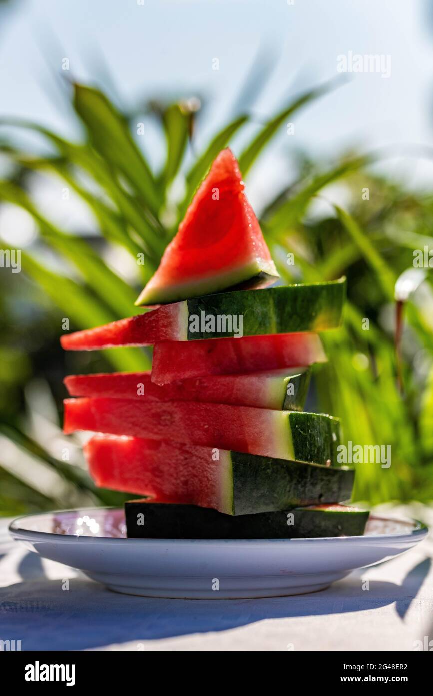 Bubbly cava cocktail garnished with slides of watermelon Stock Photo ...