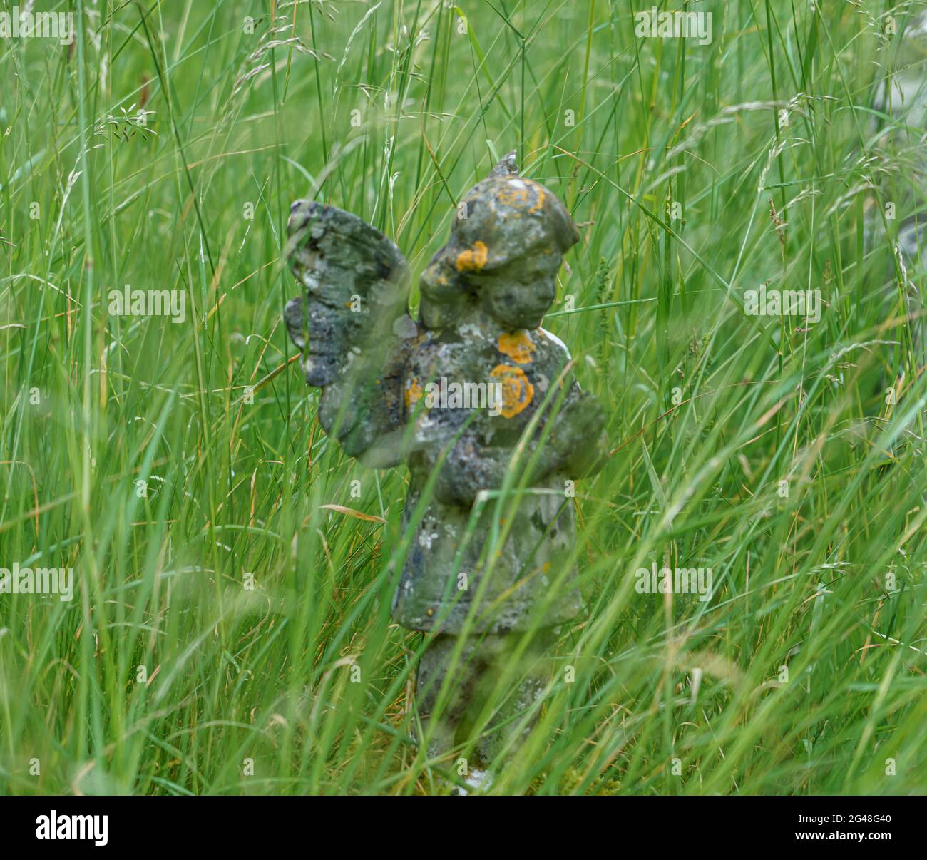 a delightful stone carved angel figurine stands amongt the tall grass ...