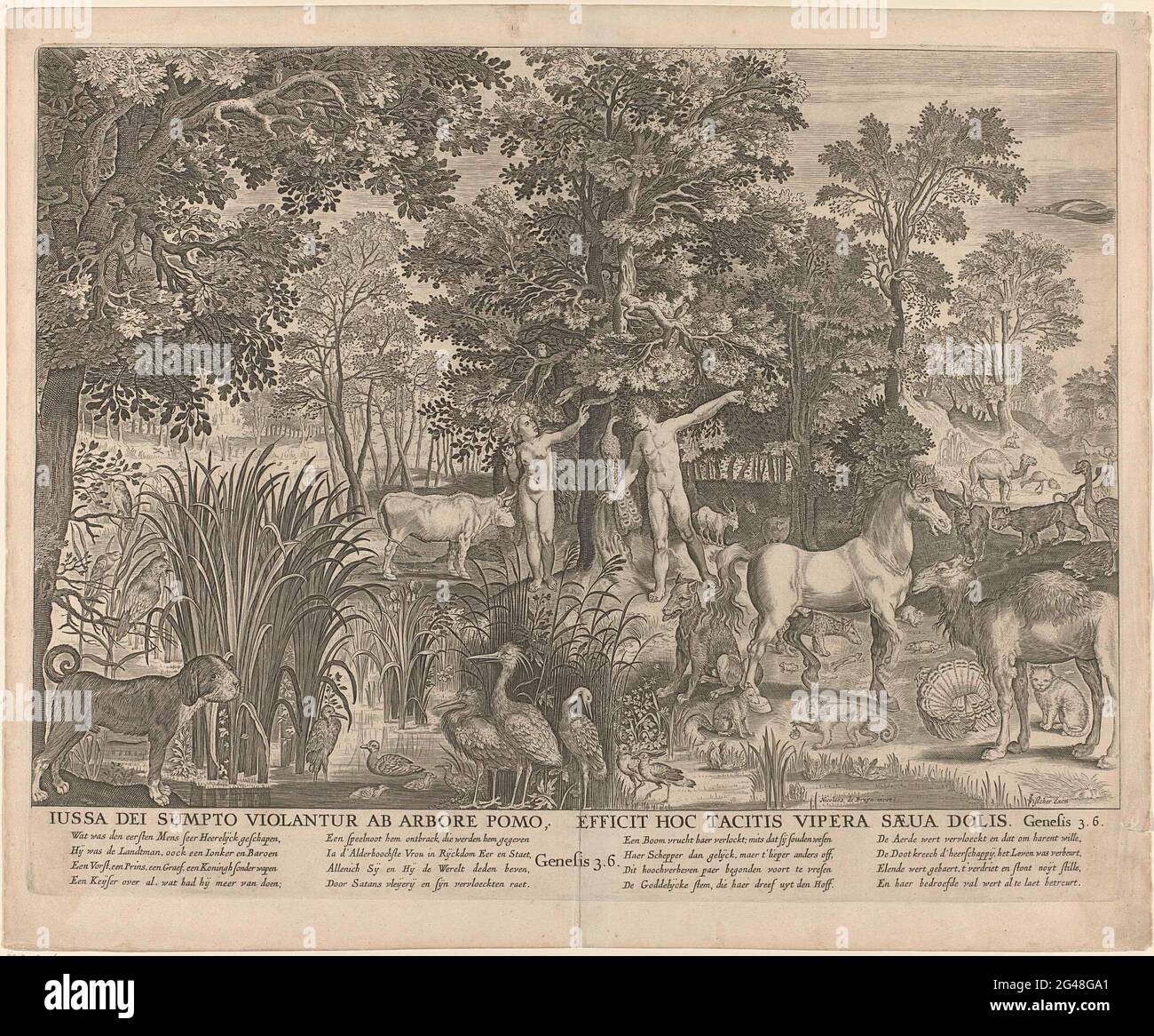 Dog show line up hi-res stock photography and images - Alamy