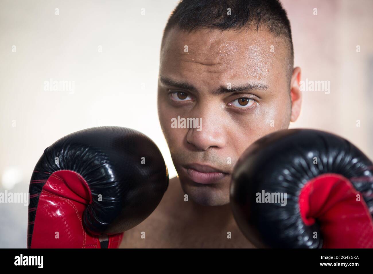 Close up shot professional boxer hi-res stock photography and images ...