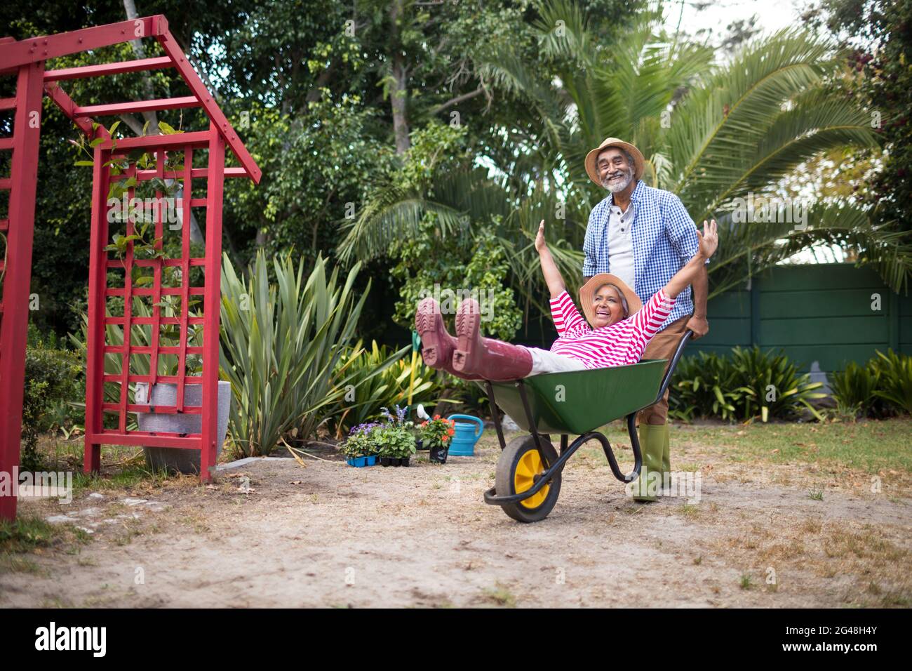 Happy senior man carrying woman in wheelbarrow Stock Photo - Alamy