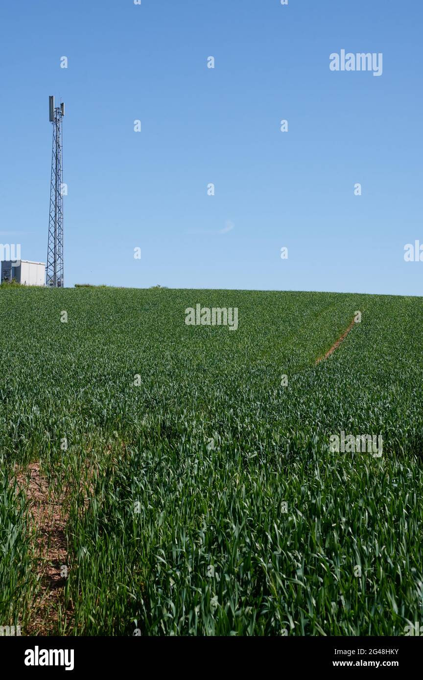 Mobile fields hi-res stock photography and images - Alamy