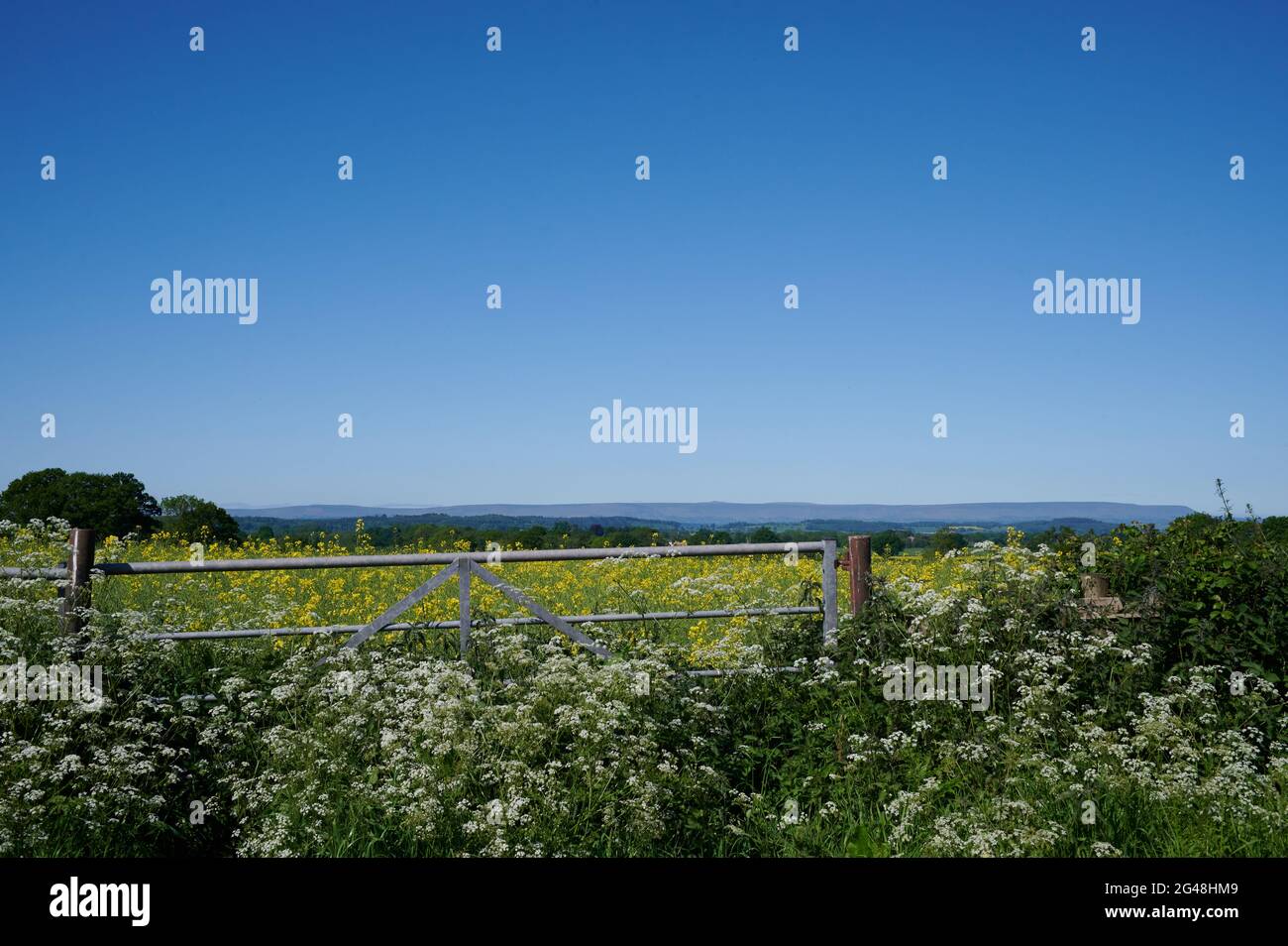 English crops hi-res stock photography and images - Alamy