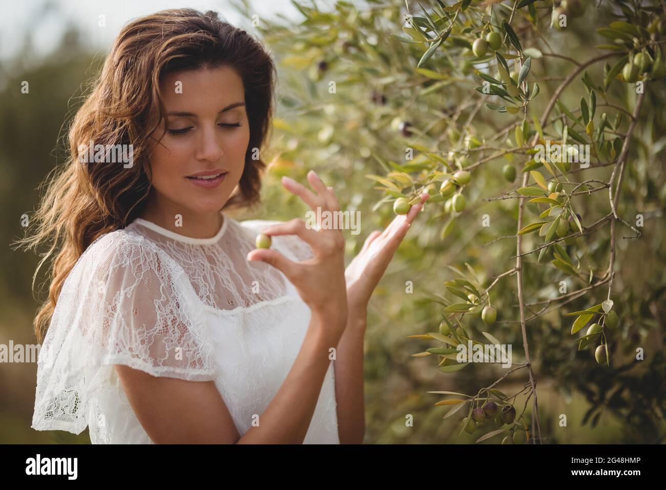 Beautiful young woman holding olive by tree at farm Stock Photo - Alamy