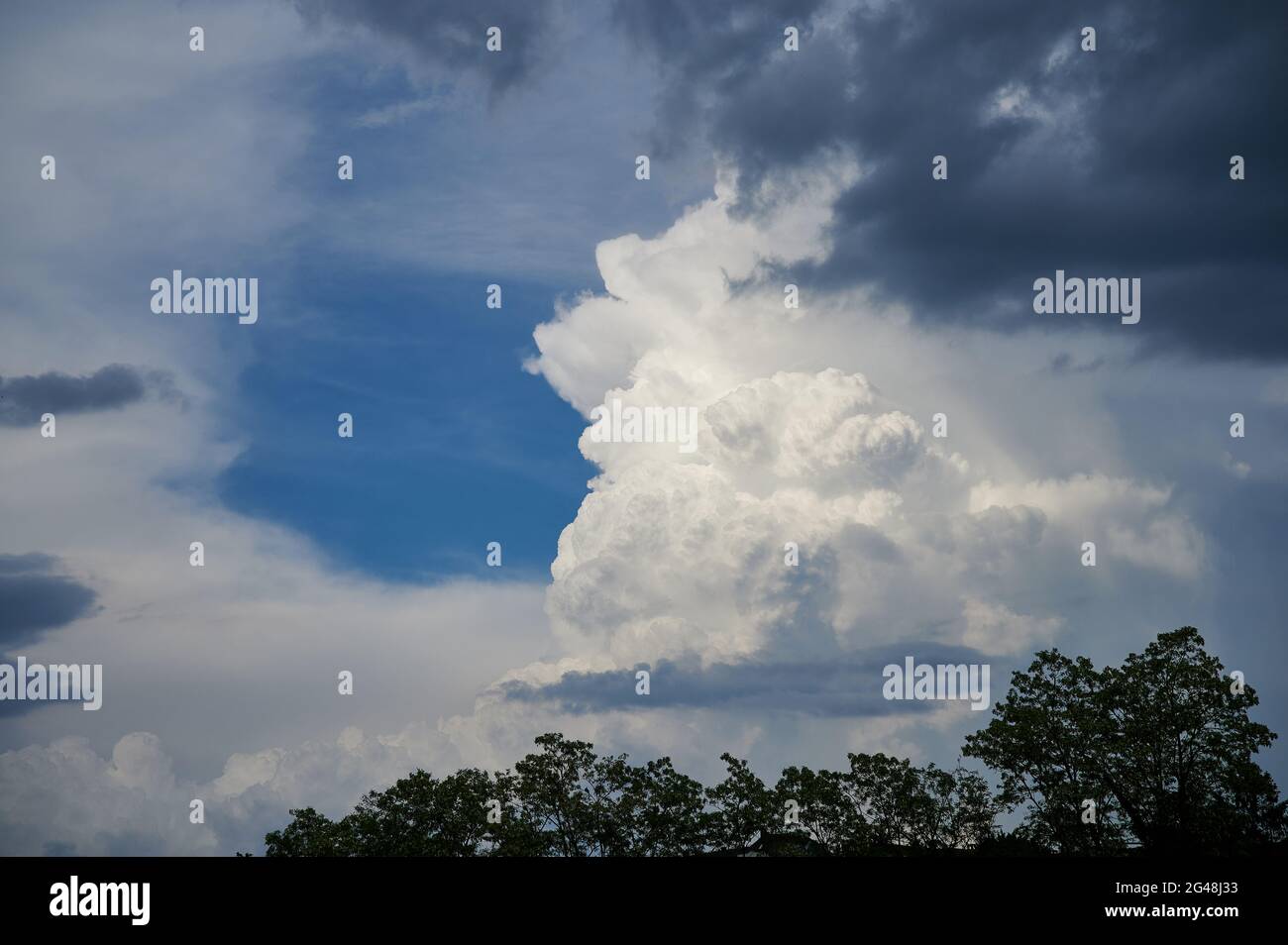 large white cumulus cloud just before a thunderstorm Stock Photo - Alamy