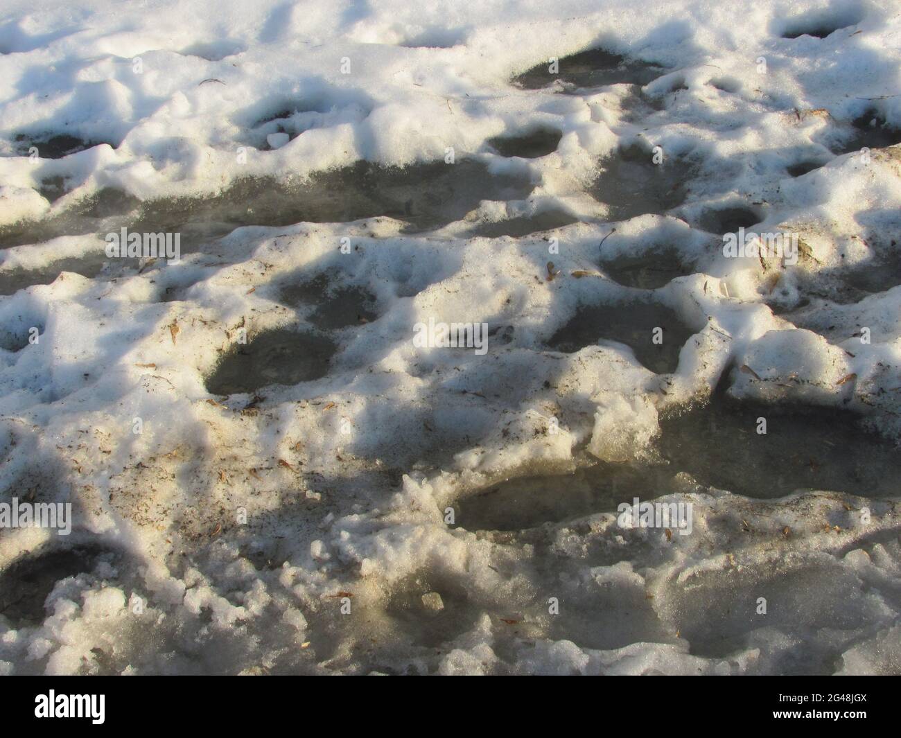 Melting snow surface in hi-res stock photography and images - Alamy