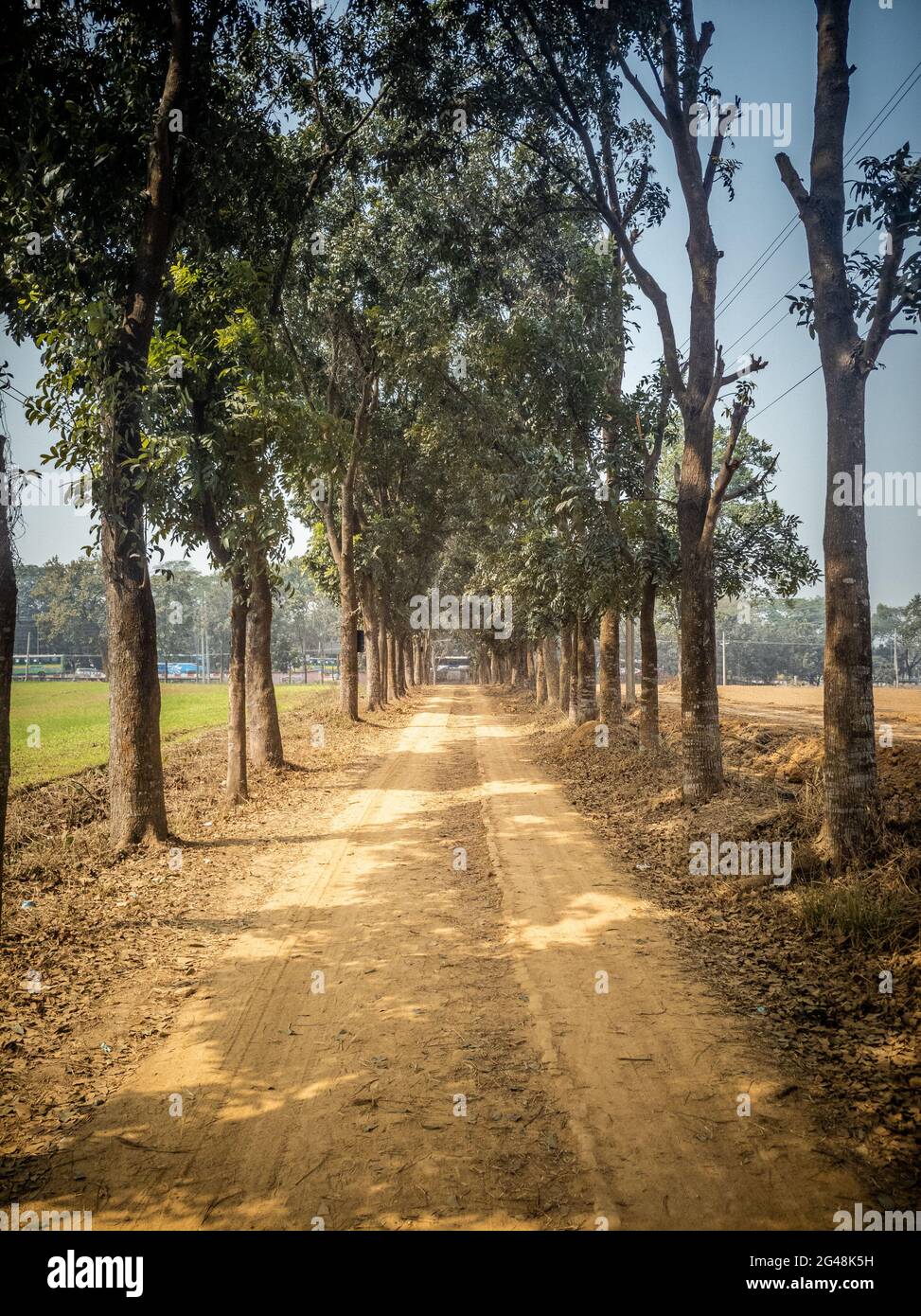 Vertical shot of pathway amidst trees in the countryside Stock Photo ...