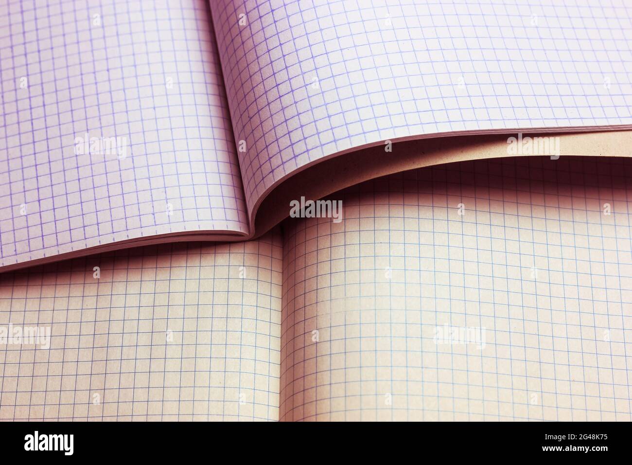 Blank notebook pages background flatly. Opened notepad notebook with a ...