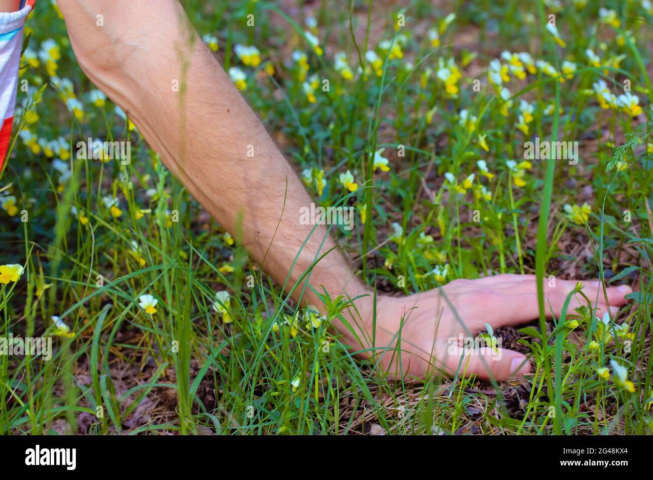 Muscular arm of athletic man, sitting in a park on a lawn surrounded by ...
