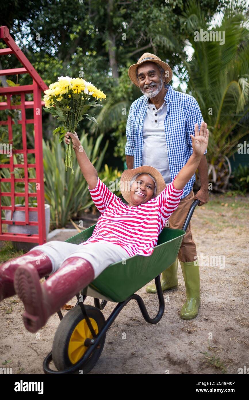 Senior man carrying woman in wheelbarrow Stock Photo - Alamy
