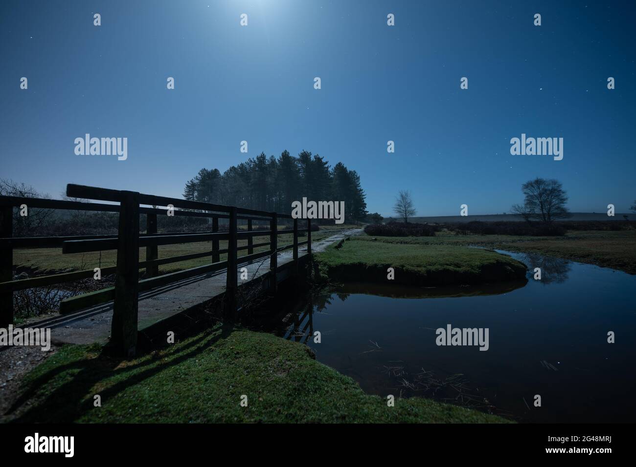 Dibden new forest hi-res stock photography and images - Alamy