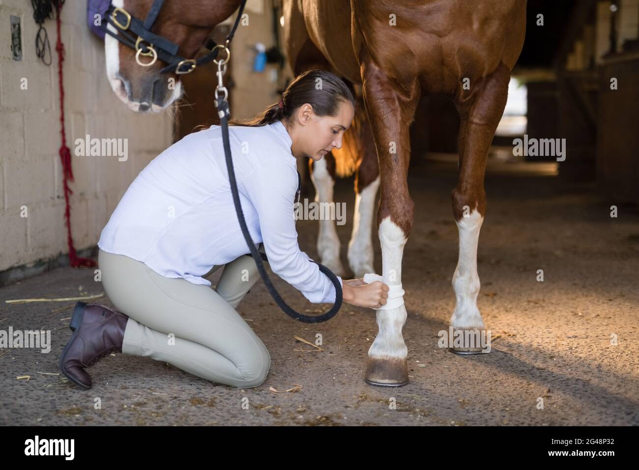 Side view confident woman examining hi-res stock photography and images ...