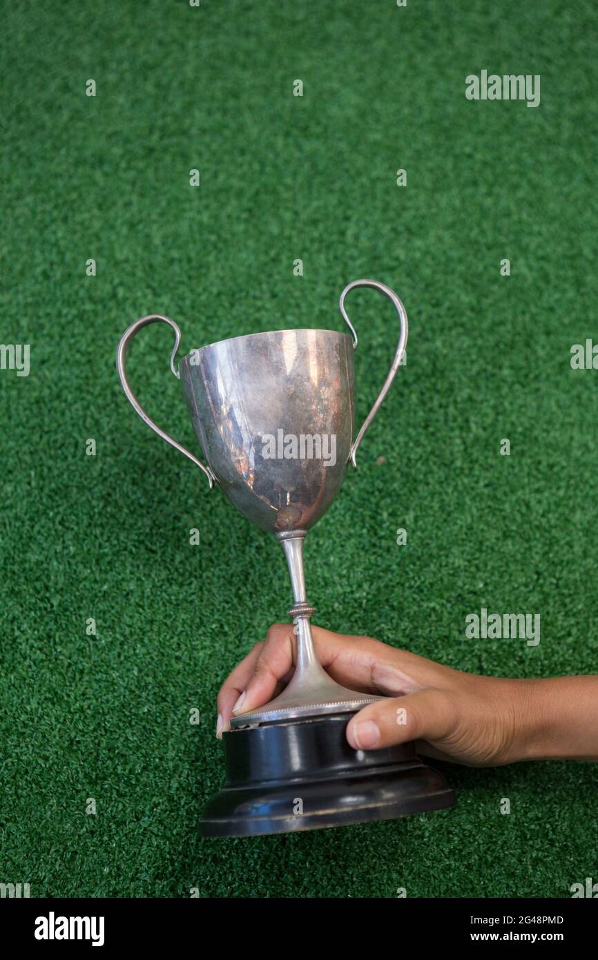 Hand holding a trophy on artificial grass Stock Photo - Alamy