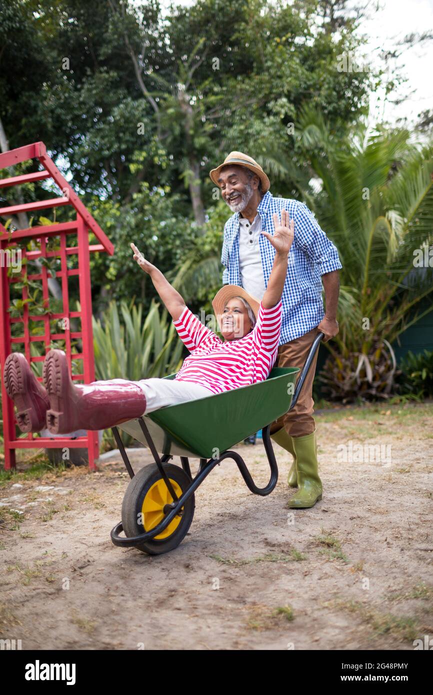 Cheerful senior man carrying woman in wheelbarrow Stock Photo Alamy