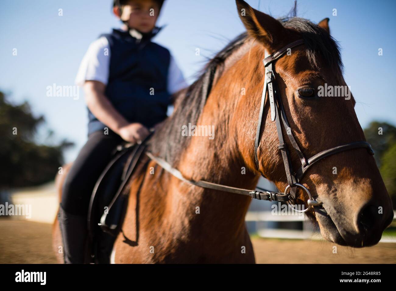 Boy riding a horse in the ranch Stock Photo - Alamy