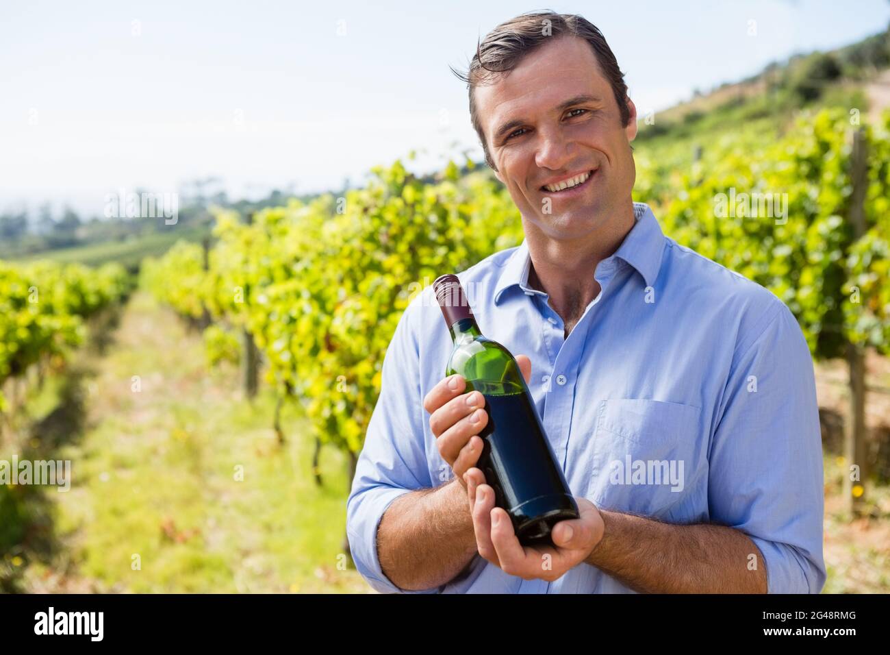 Cheerful smiling vintner checking hi-res stock photography and images ...