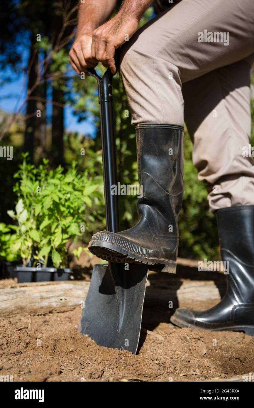 Low section of man digging soil with shovel in garden Stock Photo - Alamy