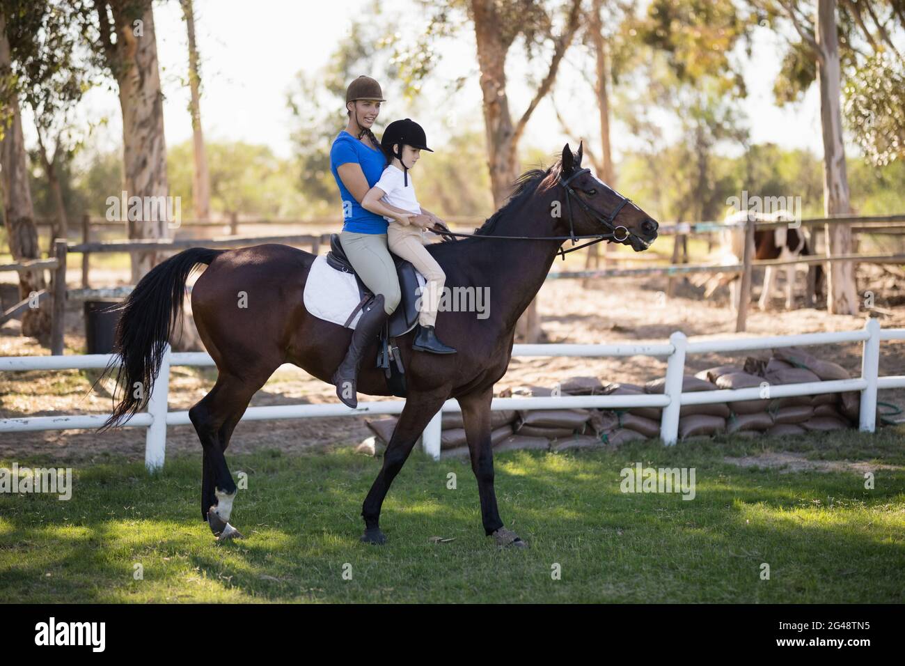 Side view of female jockey teaching horseback riding to girl Stock ...