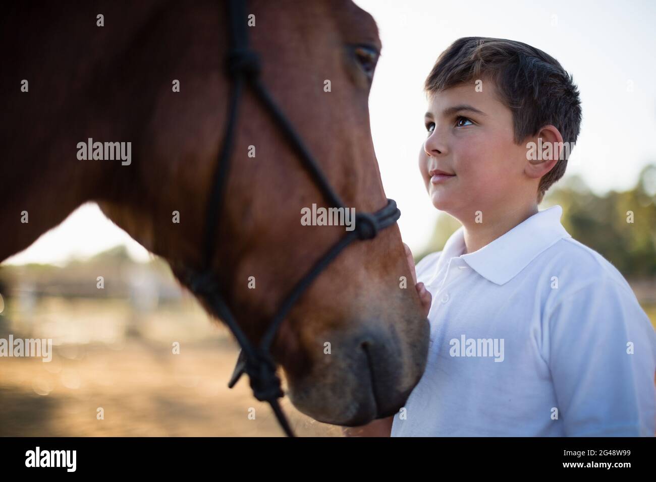 Caressing a horse hi-res stock photography and images - Alamy
