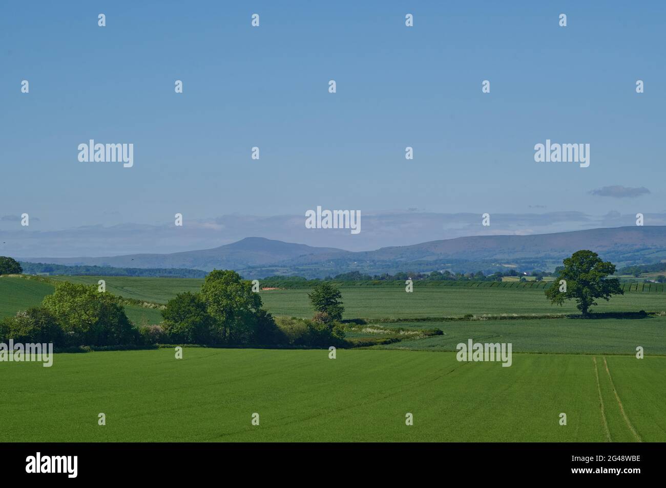 Agriculture farm field in english countryside with blue sky and low ...